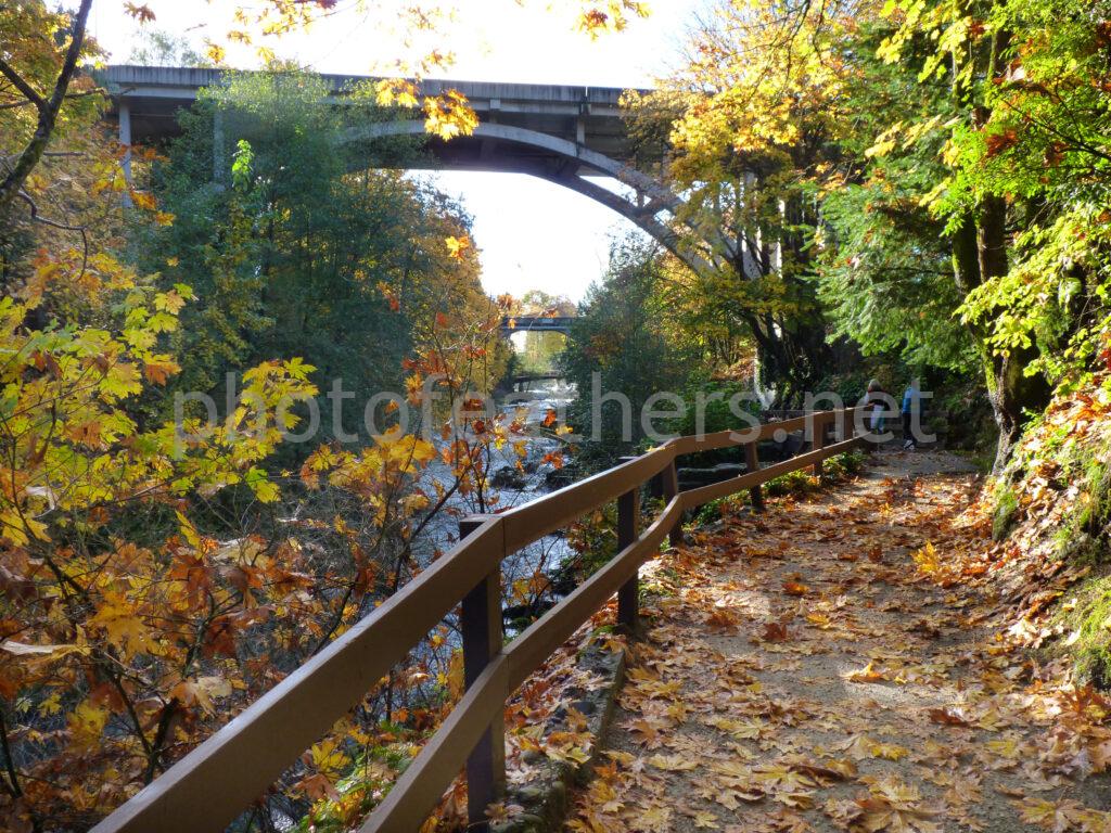 Brewery Park at Tumwater Falls I - Photofeathers : Photofeathers