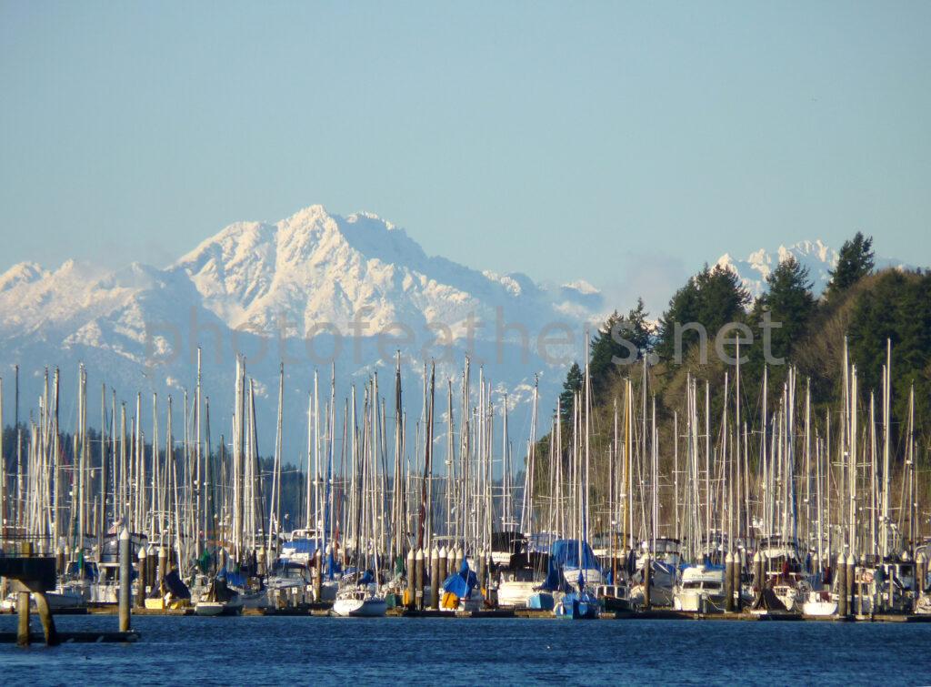 Budd Bay I - Photofeathers : Photofeathers