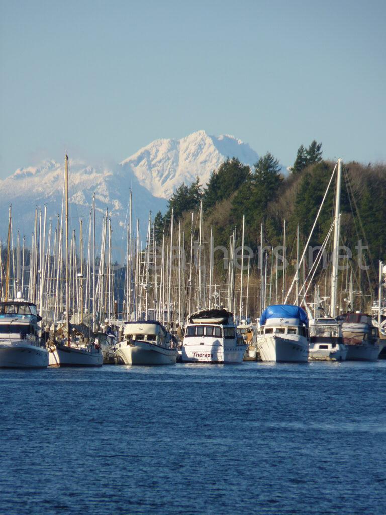 Pacific Northwest Archives - Photofeathers : Photofeathers